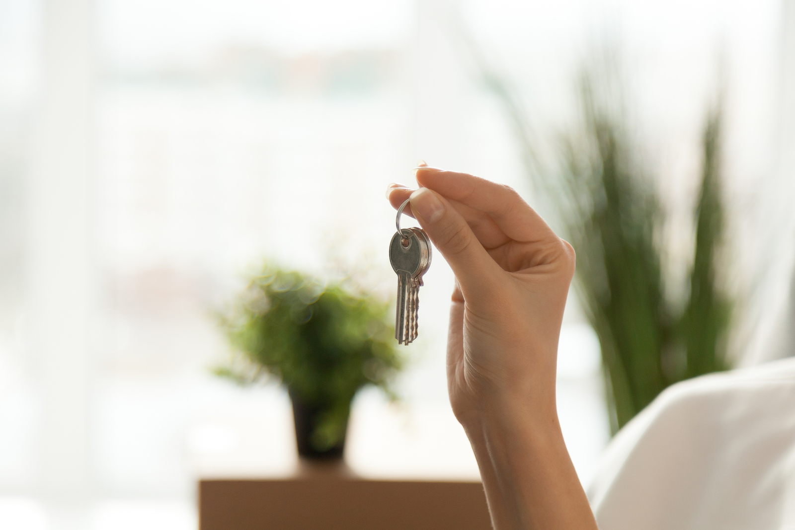 4 Reasons to Buy Your First Property This Year | Carman Friend